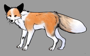 Silver Fox Colour Mutations