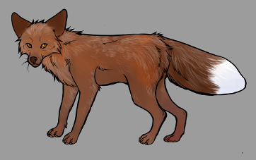 Silver Fox Colour Mutations