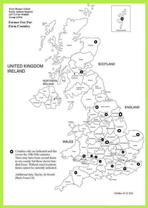 Black Fox Information