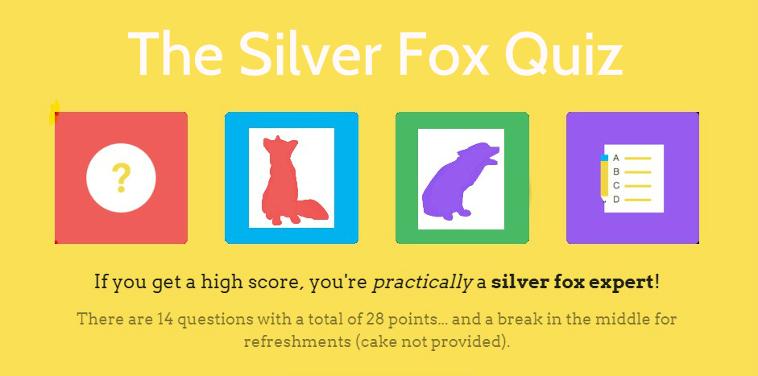 Black Fox Information